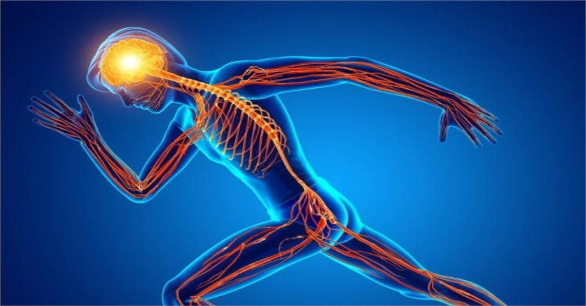 Spinal Injuries - Narain Hospital